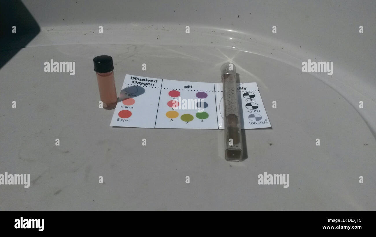 This is the dissolved oxygen and pH samples collected from the test ...