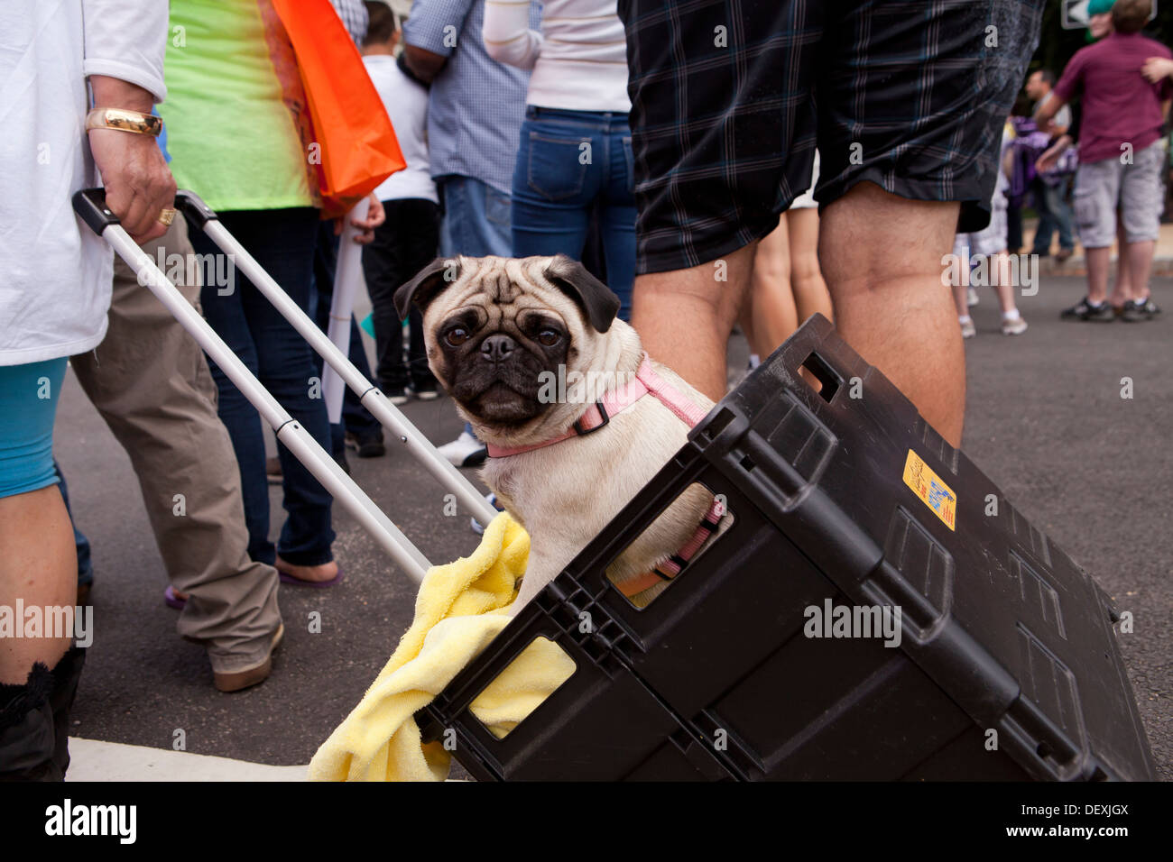 Hand cart hi-res stock photography and images - Alamy
