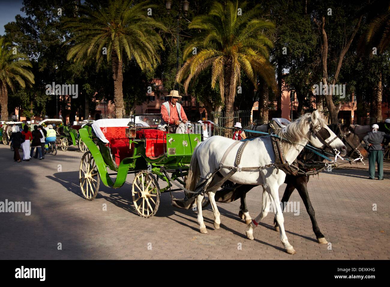 Caleches and marrakech hi-res stock photography and images - Alamy