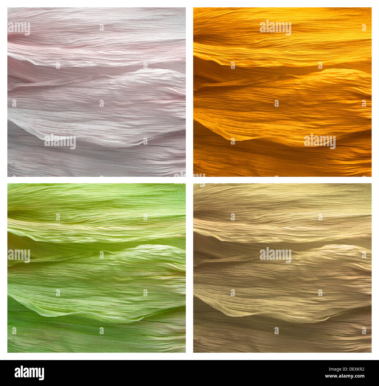 Corn leaves background with different color schemes Stock Photo - Alamy