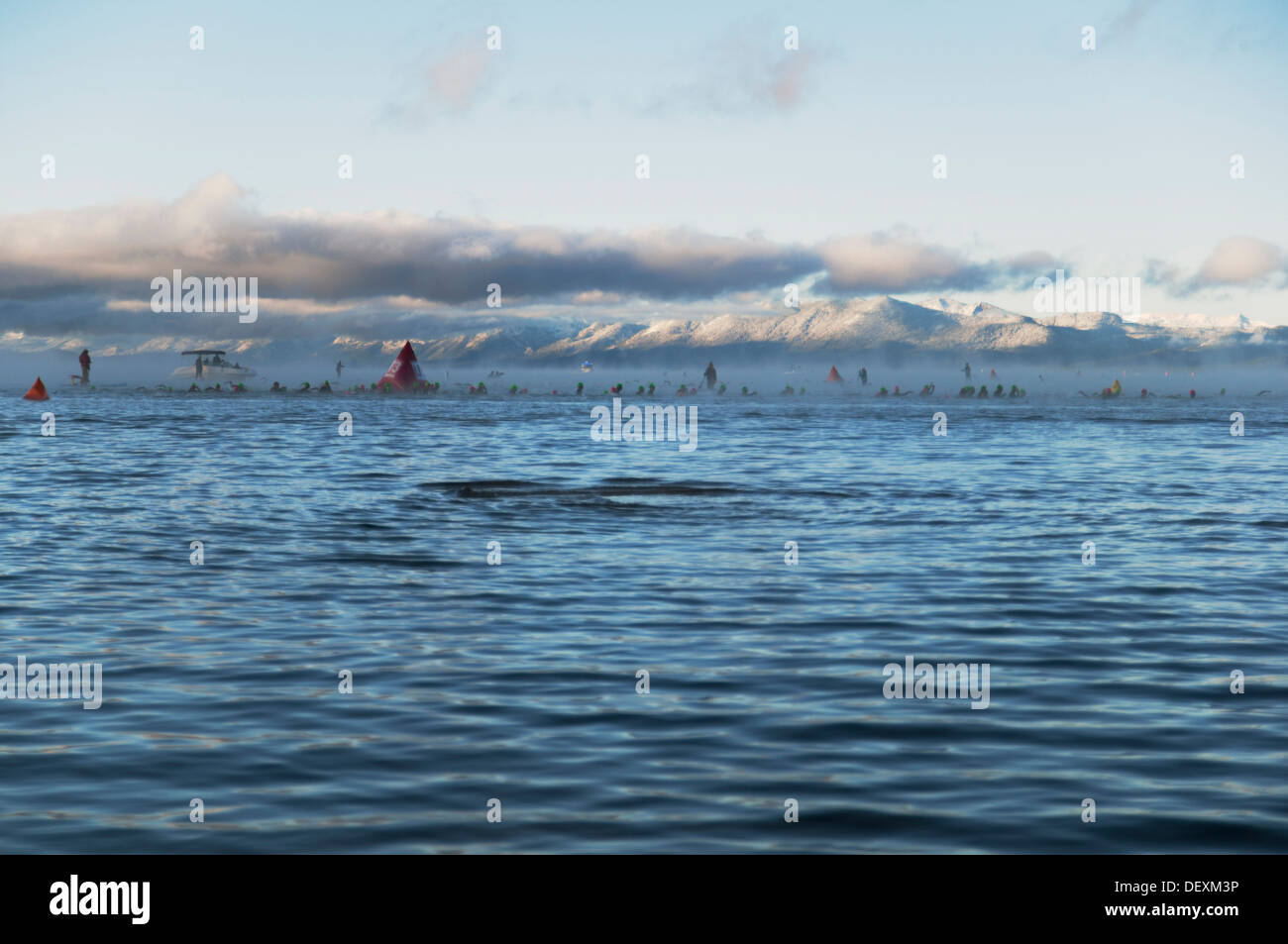 A large group of swimmers in Lake Tahoe competing in a triathlon Stock ...