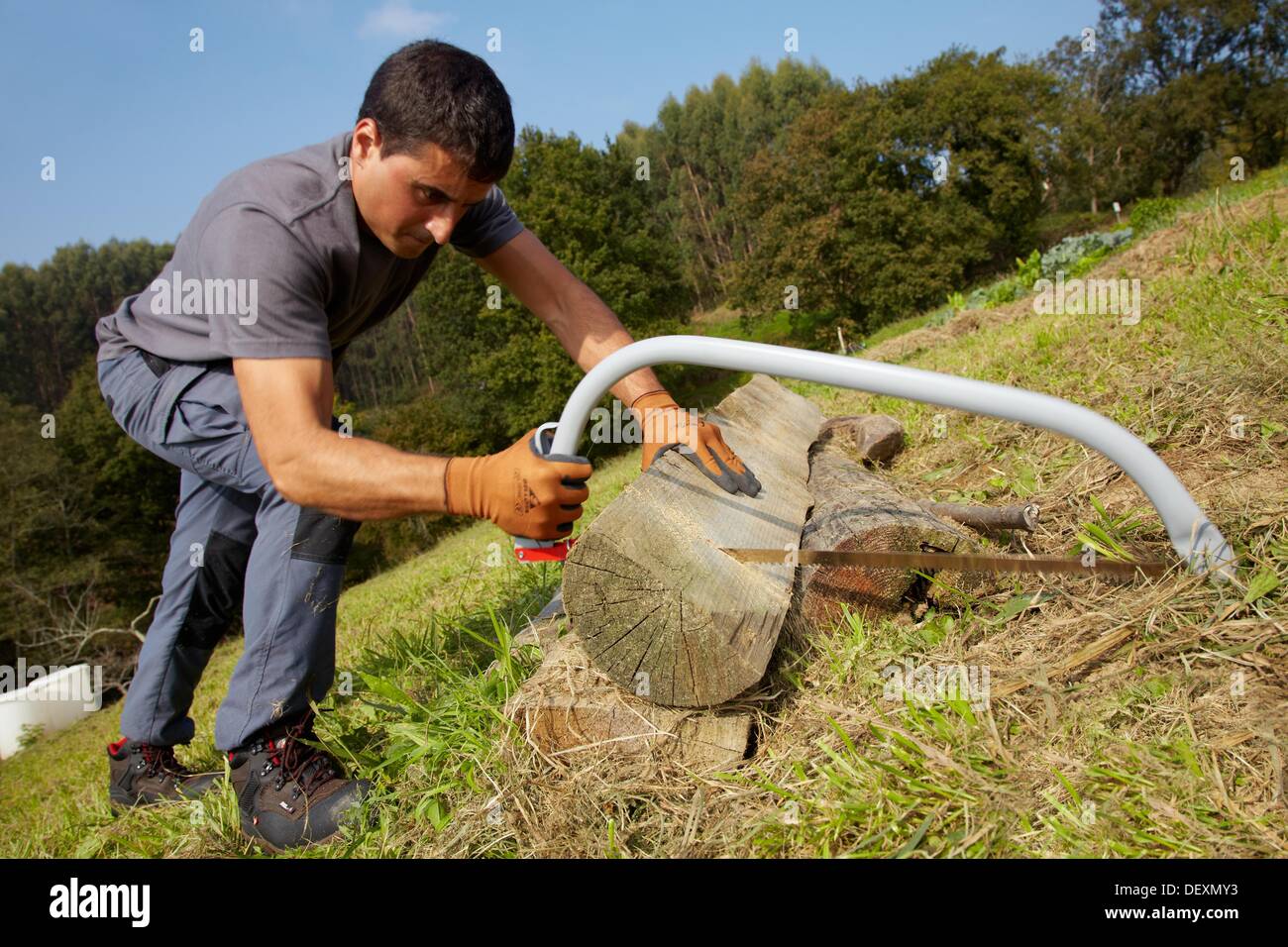 Bow saw hi-res stock photography and images - Alamy