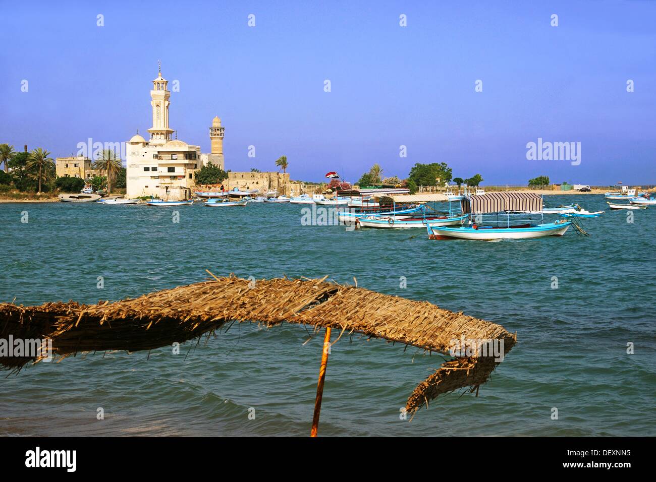 Hanie hi-res stock photography and images - Alamy