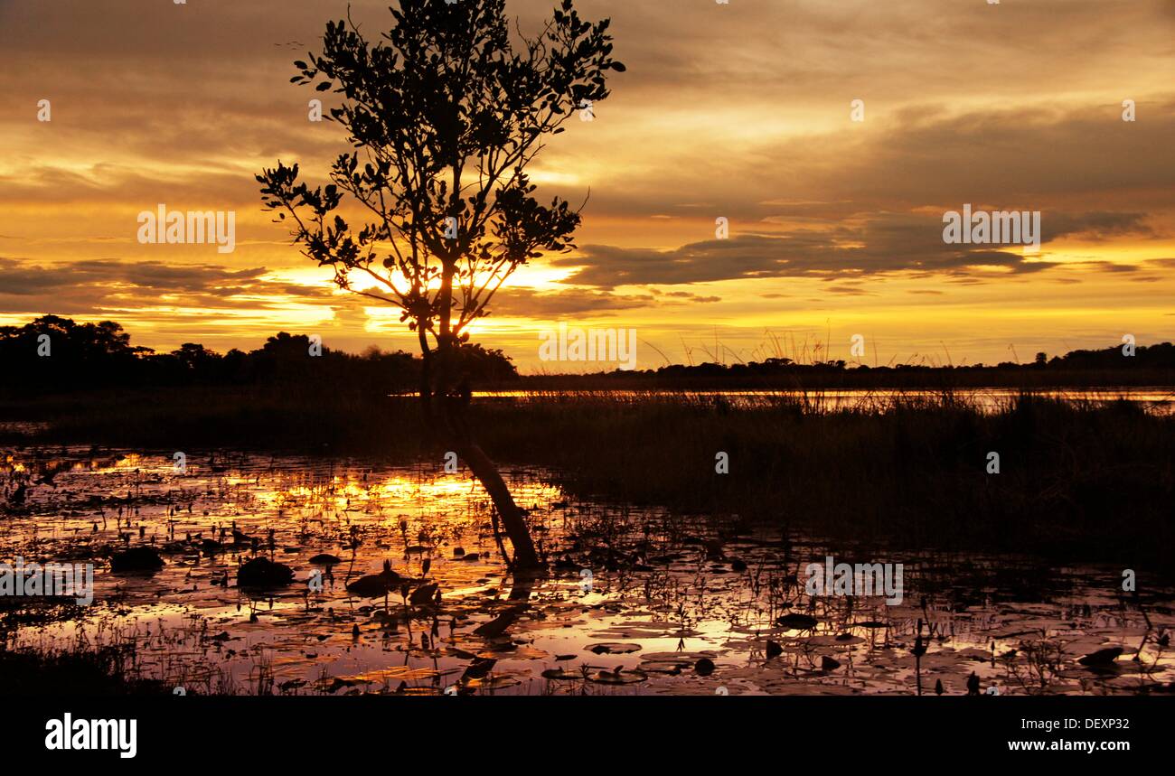 River maun hi-res stock photography and images - Alamy