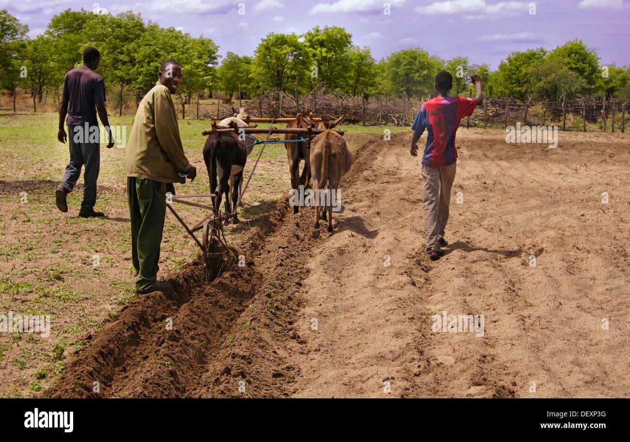 Ngamiland hi-res stock photography and images - Alamy