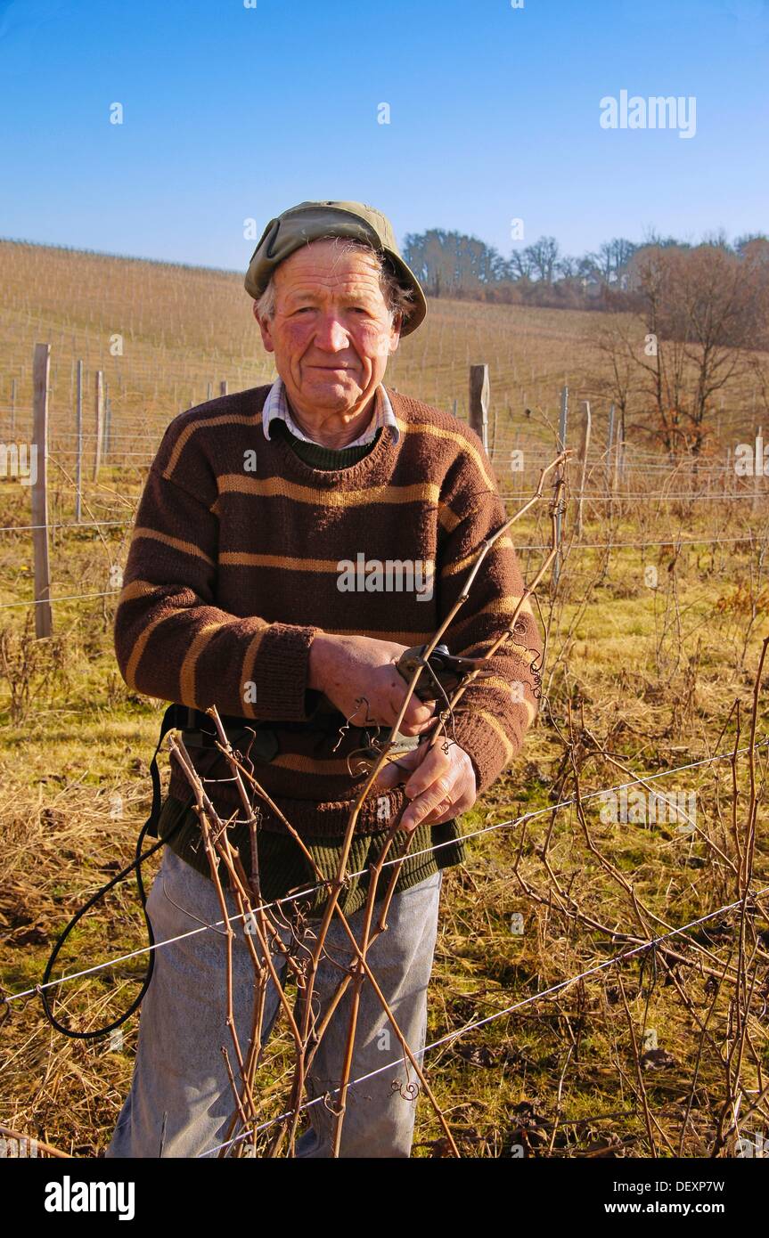 83 years old hi-res stock photography and images - Alamy