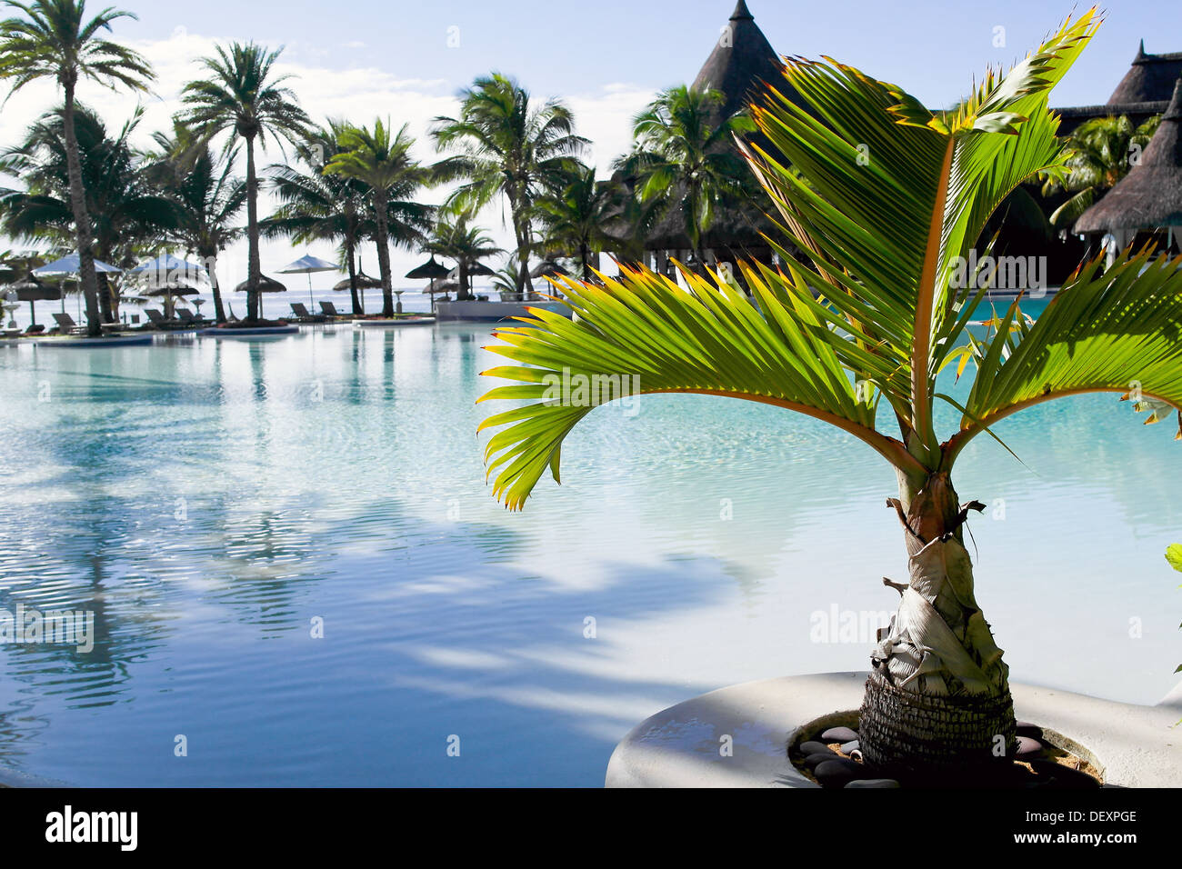 Swimming pool at tropical resort in Mauritius Stock Photo - Alamy