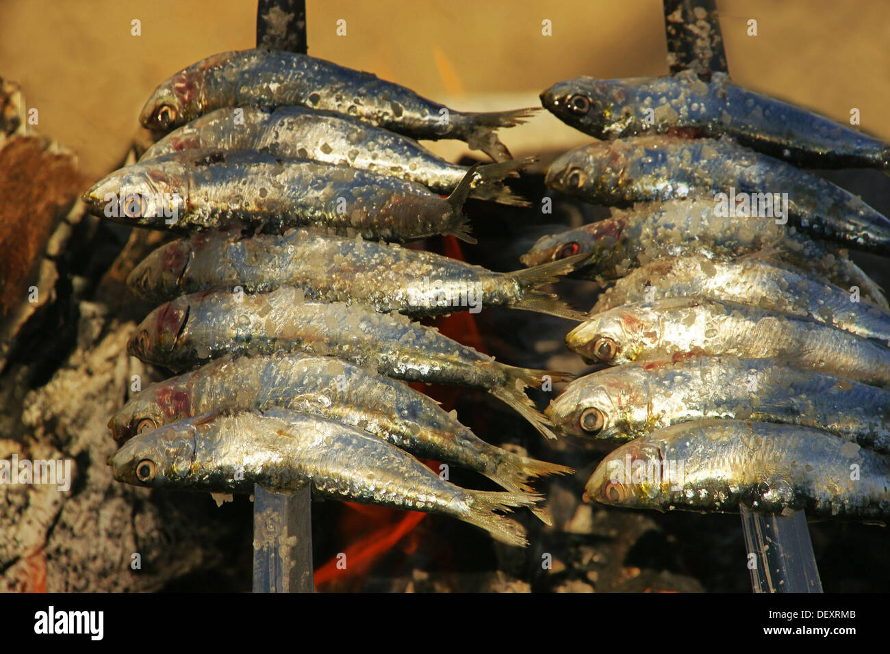 Espeto de sardinas hi-res stock photography and images - Alamy