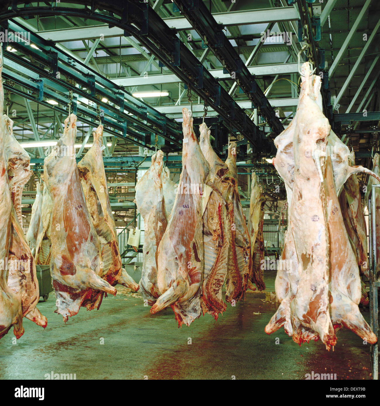 Municipal slaughterhouse hi-res stock photography and images - Alamy