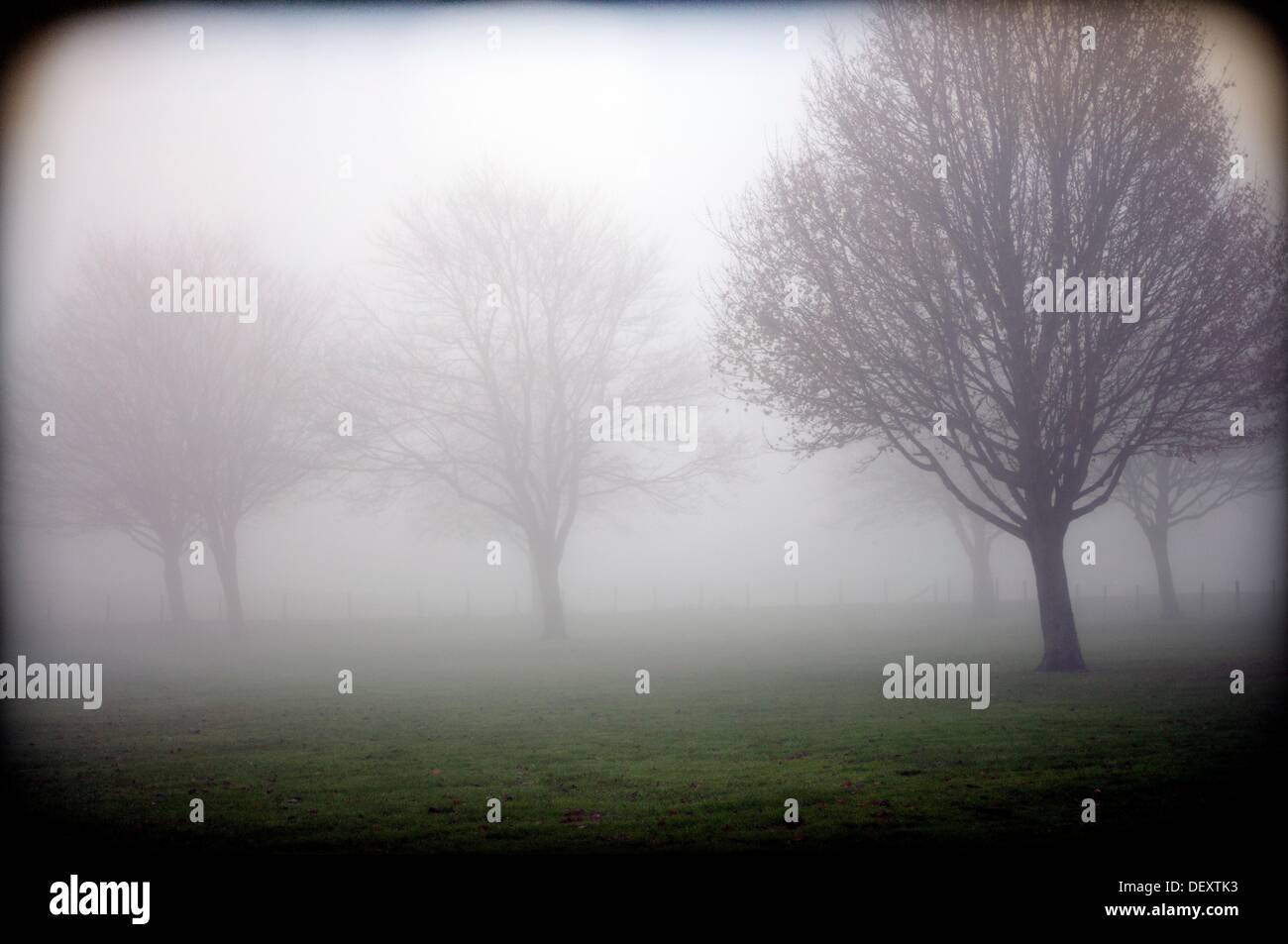 Solo triste hi-res stock photography and images - Alamy