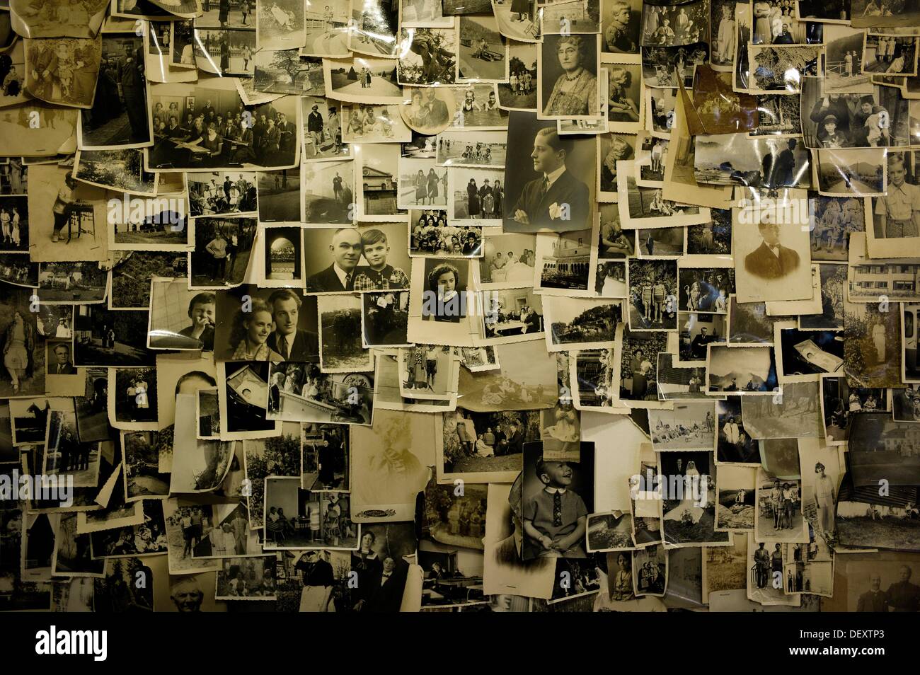 Vintage Photography Collage