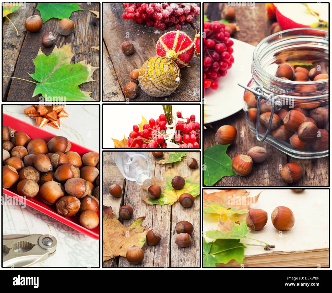 Forest hazelnuts in shell Stock Photo - Alamy