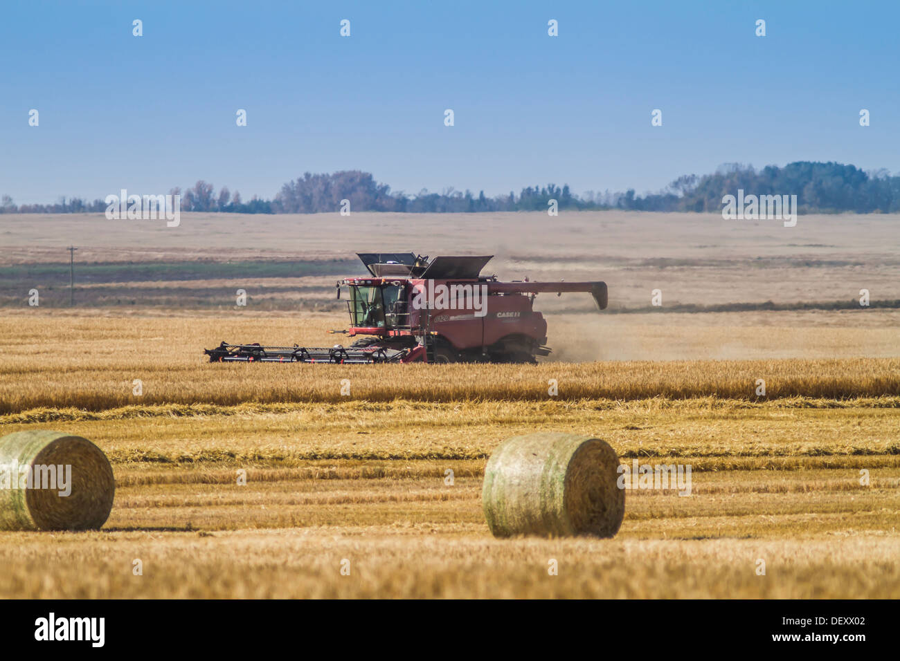 Fall Harvest Field