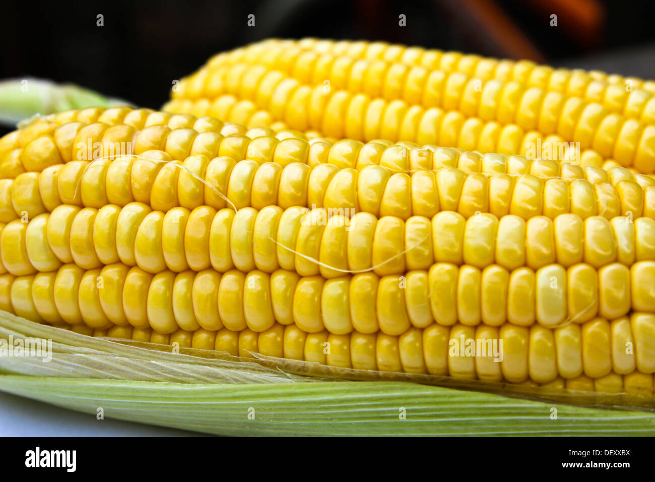 Bright color sweet corn Stock Photo - Alamy
