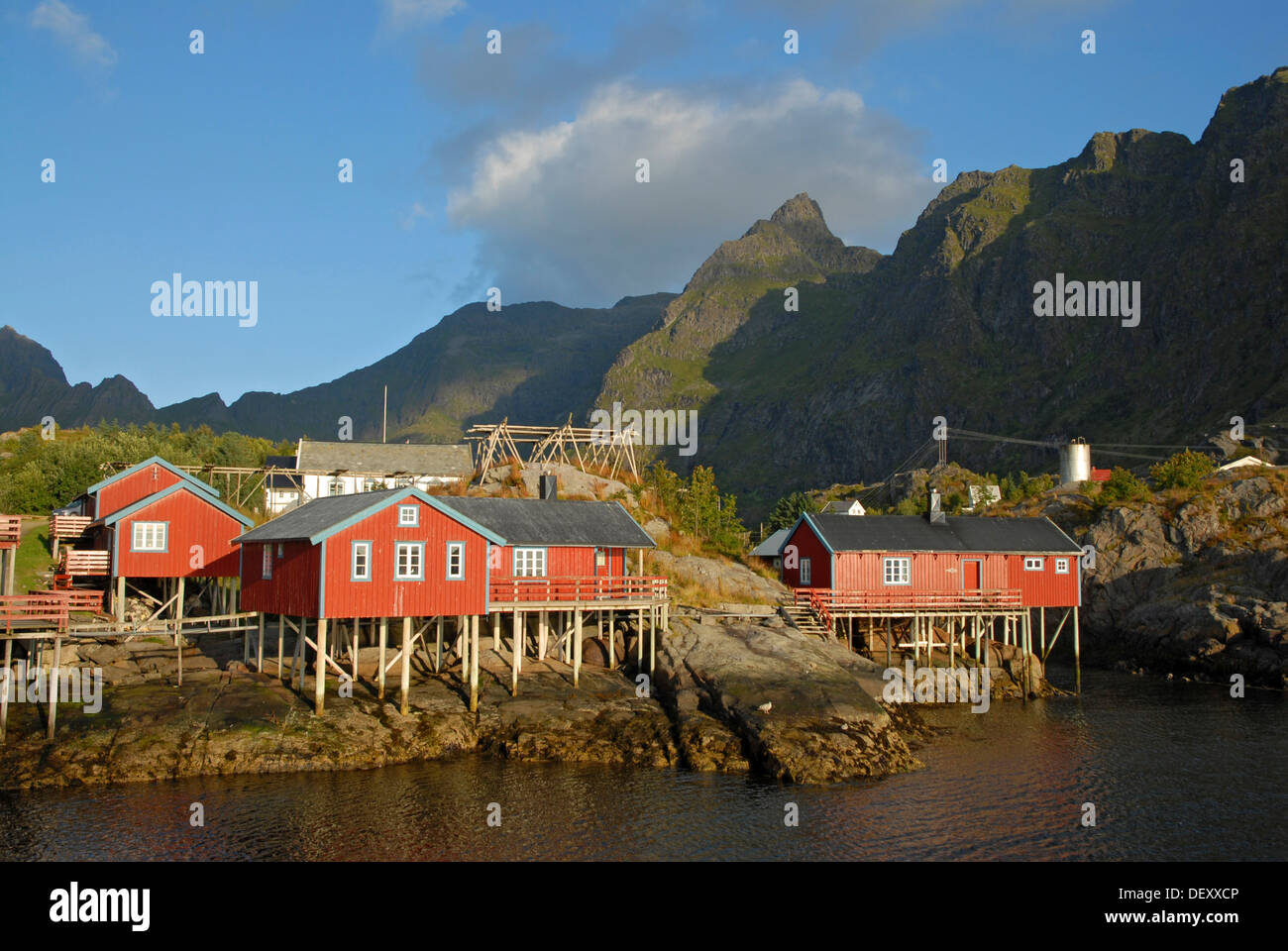 Typical red rorbuer huts, rorbu, at the coast of the Norwegian Sea ...
