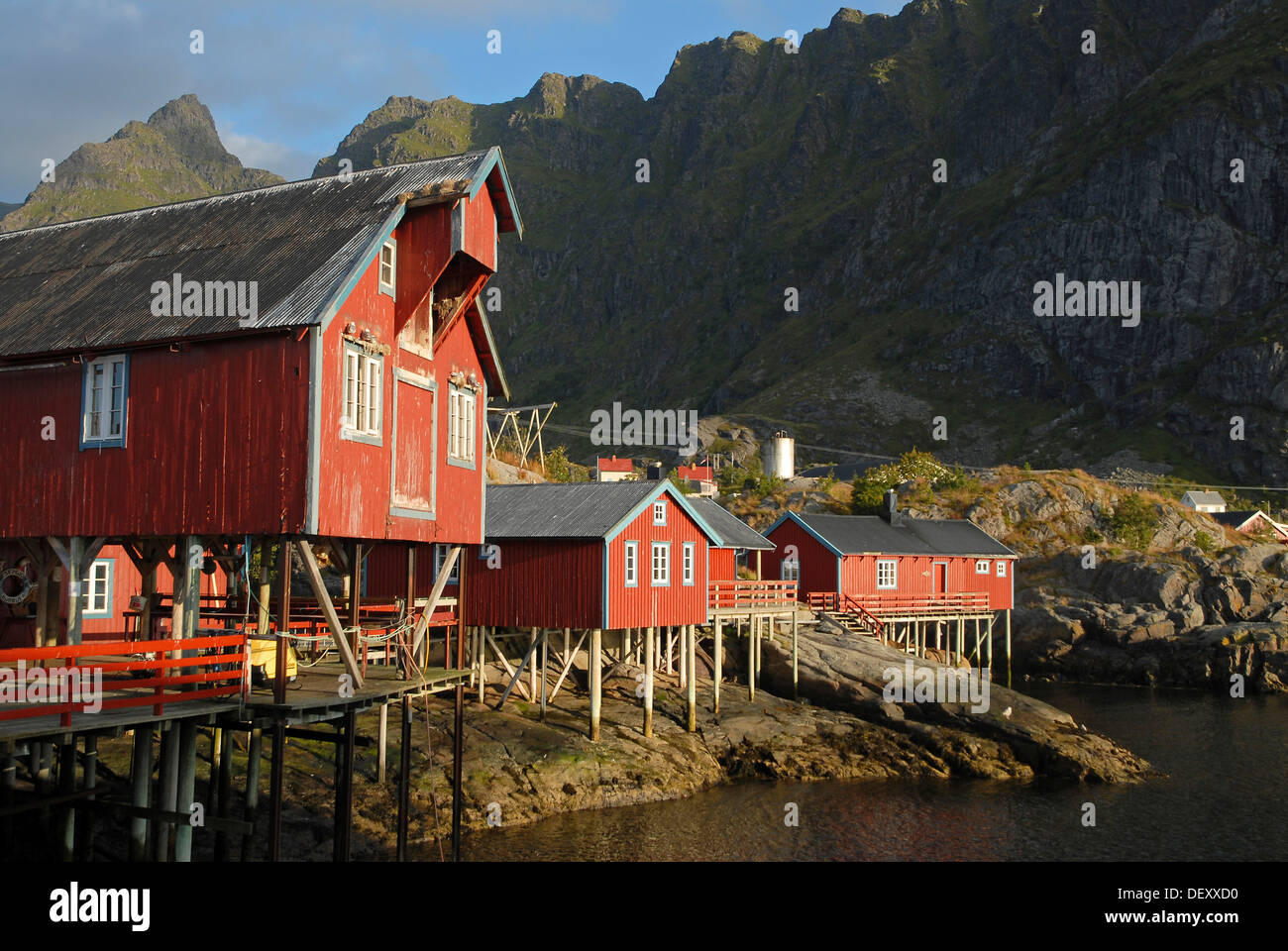 Typical red rorbuer huts, rorbu, at the coast of the Norwegian Sea ...