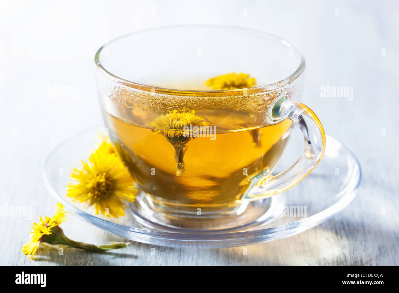 herbal tea with coltsfoot flowers Stock Photo - Alamy