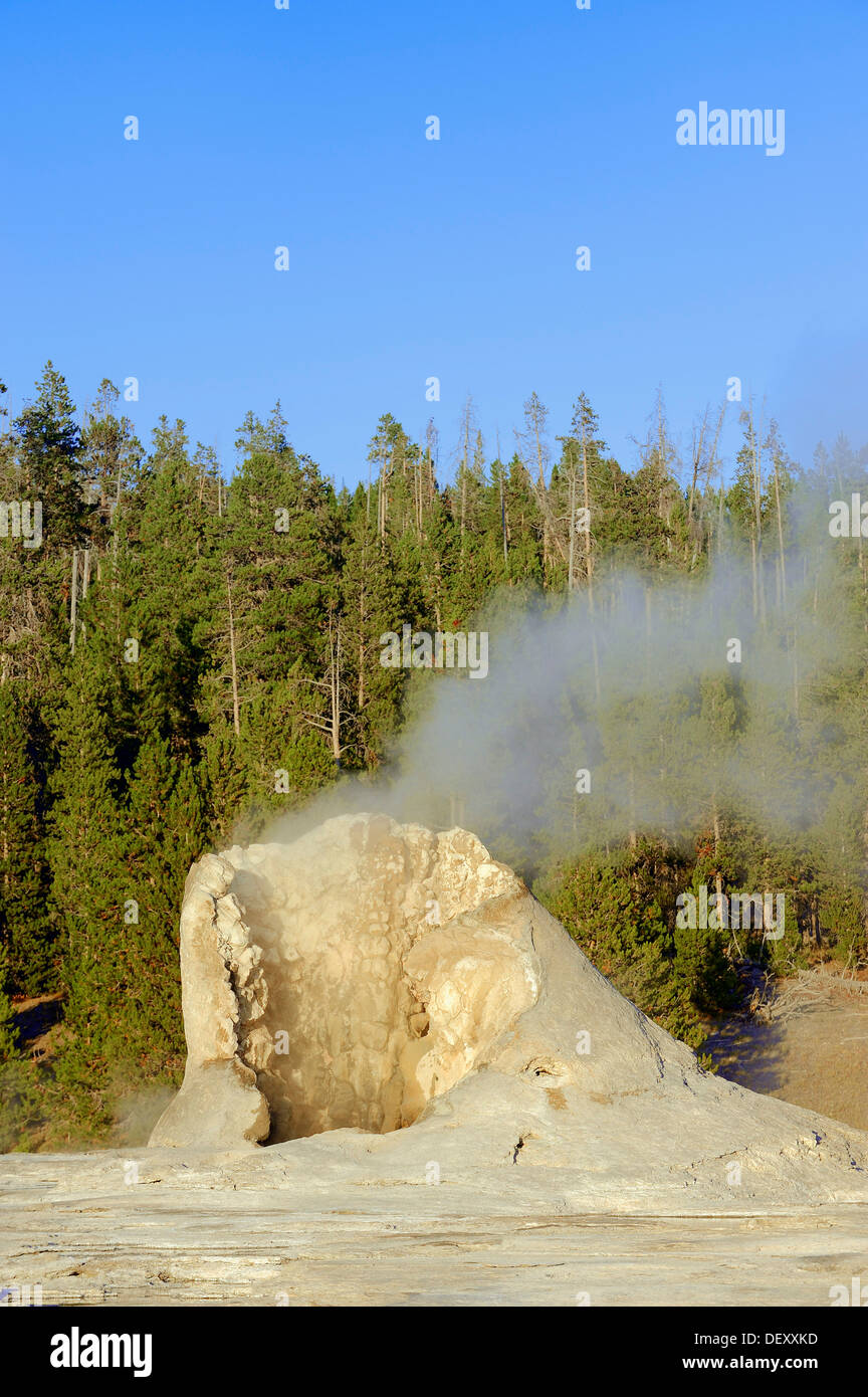 Giant Geyser, Upper Geyser Basin, Yellowstone National Park, Wyoming ...