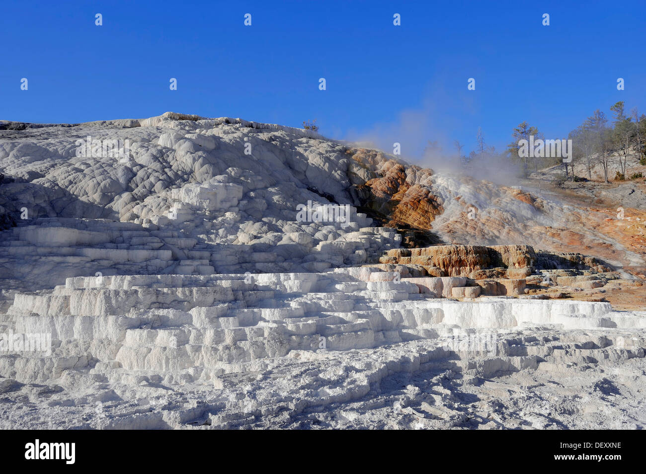 Palette Spring, hot spring with travertine sinter terraces, Lower ...