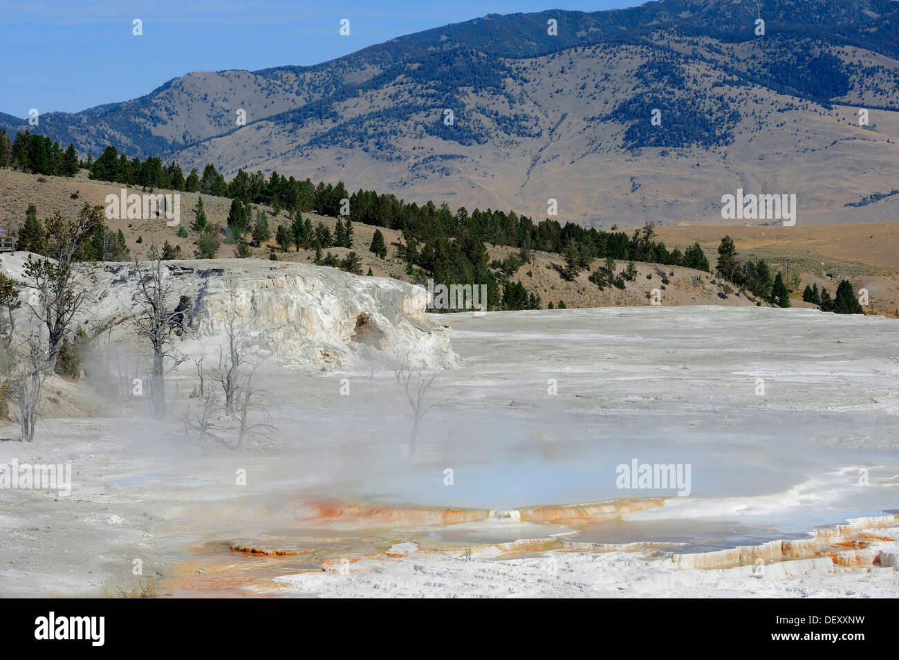 Main terrace hot spring hi-res stock photography and images - Alamy