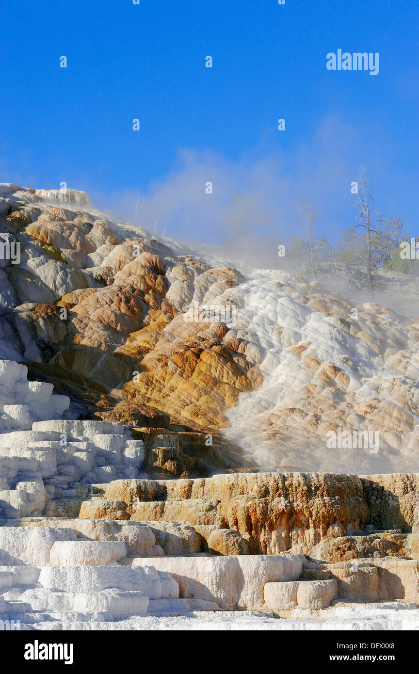 Palette Spring, hot springs with travertine sinter terraces, Lower ...