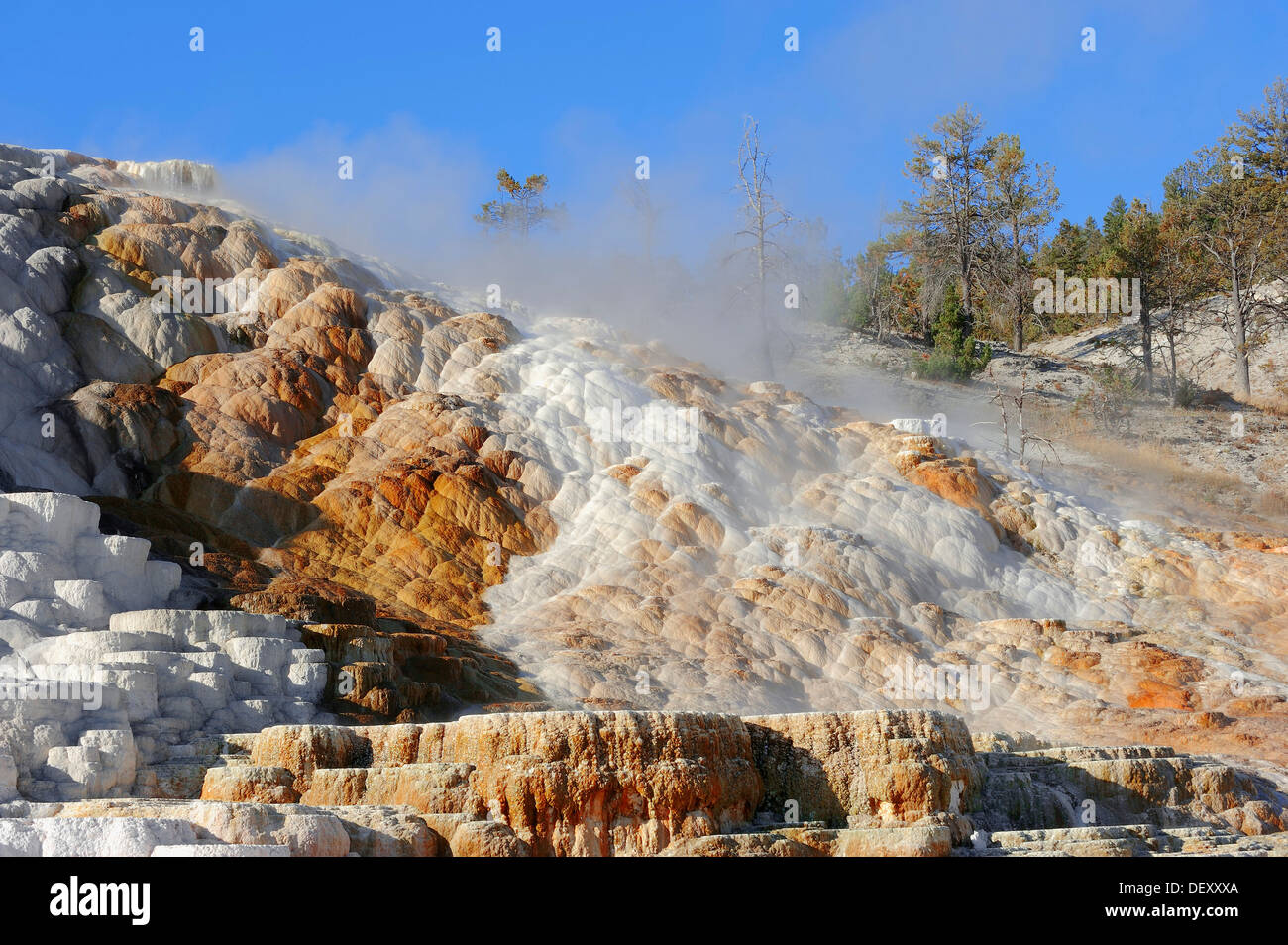 Palette Spring, hot springs with travertine sinter terraces, Lower ...