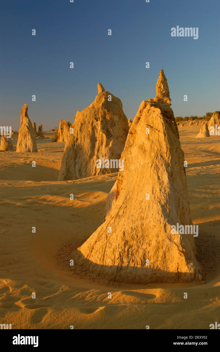 Perth region reserves hi-res stock photography and images - Alamy