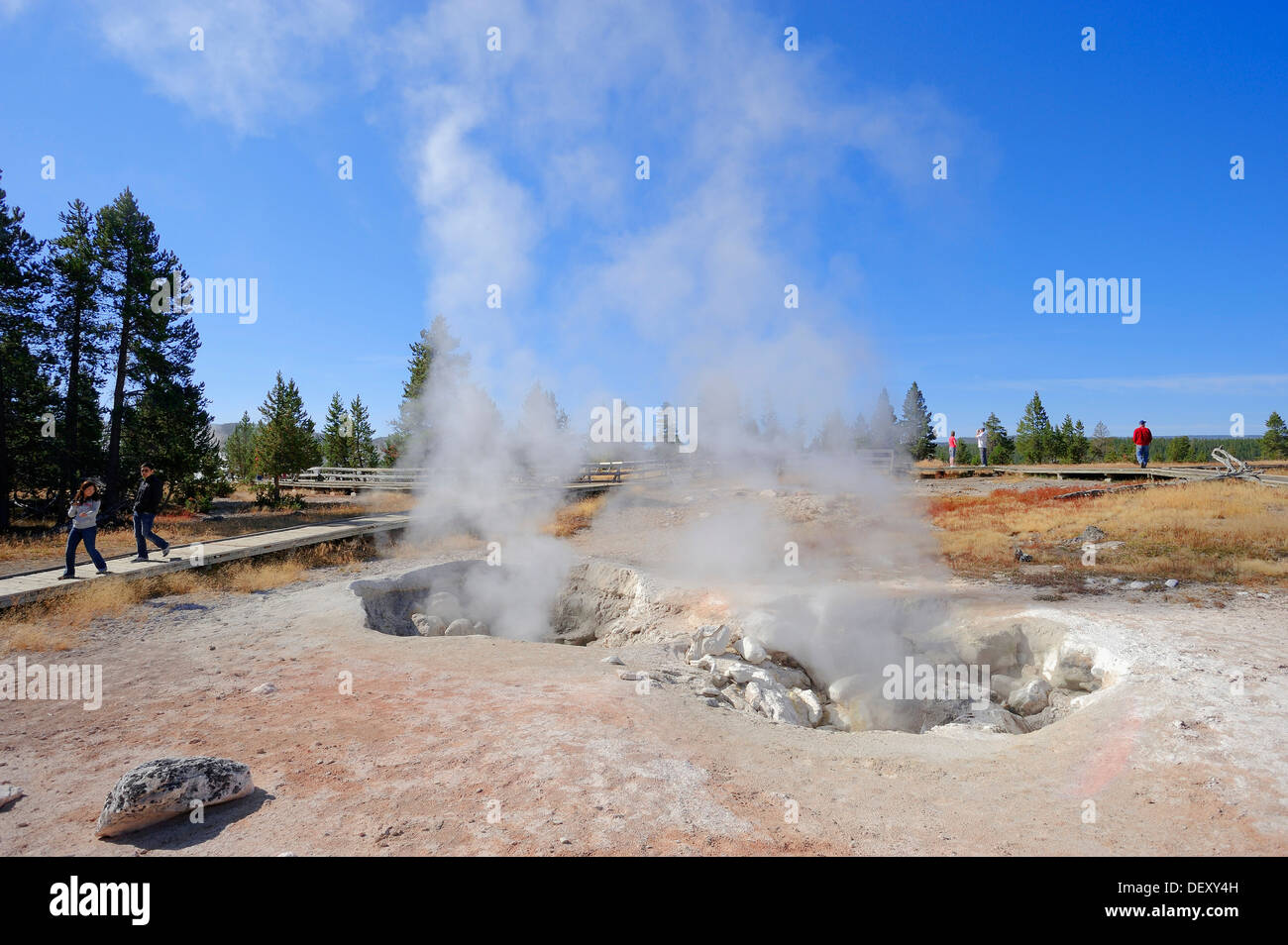 Red Spouter, fumarole, Fountain Paint Pot area, Yellowstone National ...