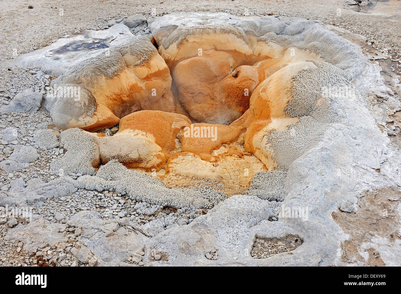 Shell Spring, geyser, hot spring, Biscuit Basin, Yellowstone National ...