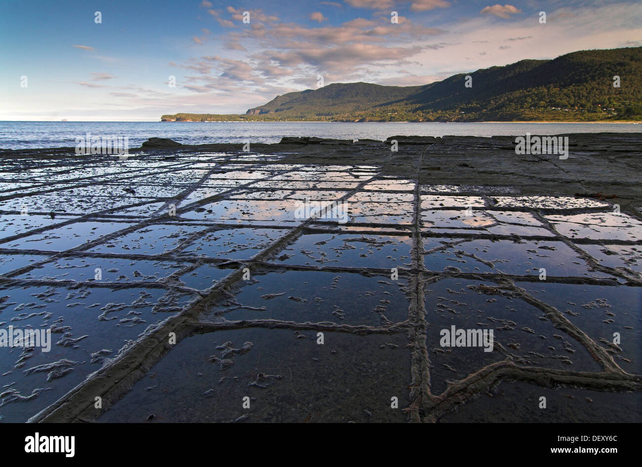 Tessellated pavement, a rare erosional feature formed in flat ...