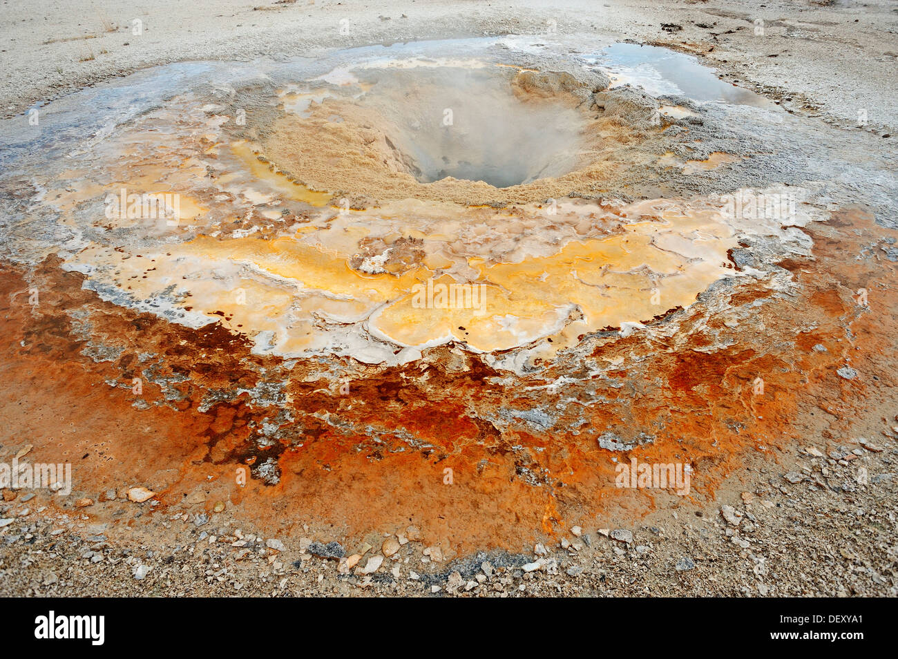Mustard spring biscuit basin yellowstone hi-res stock photography and ...