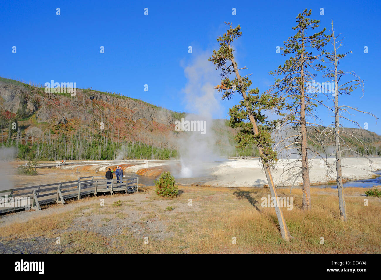 Cliff Geyser, Black Sand Basin, Yellowstone National Park, Wyoming, USA ...