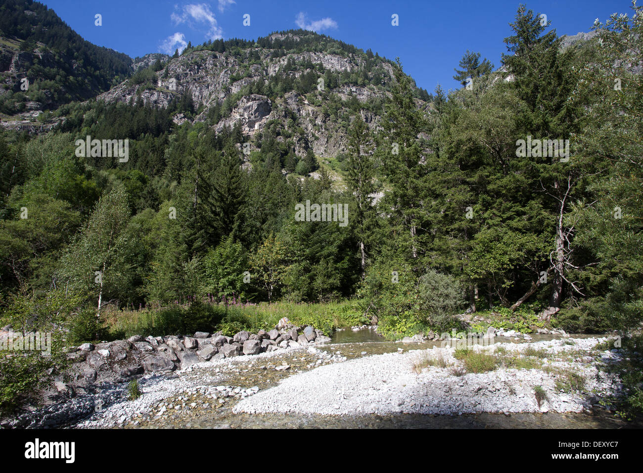 Foret de d' Burges of Burges Isere Rhone Alps Alpes France Stock Photo ...