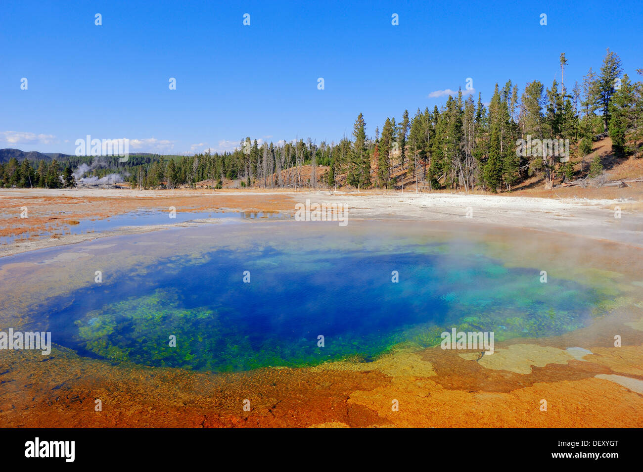 Beauty of yellowstone hi-res stock photography and images - Alamy
