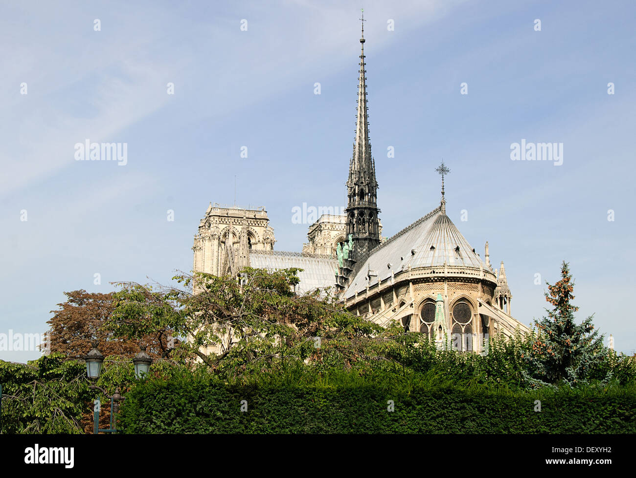 View of Notre Dame Cathedral in Paris from behind Stock Photo - Alamy