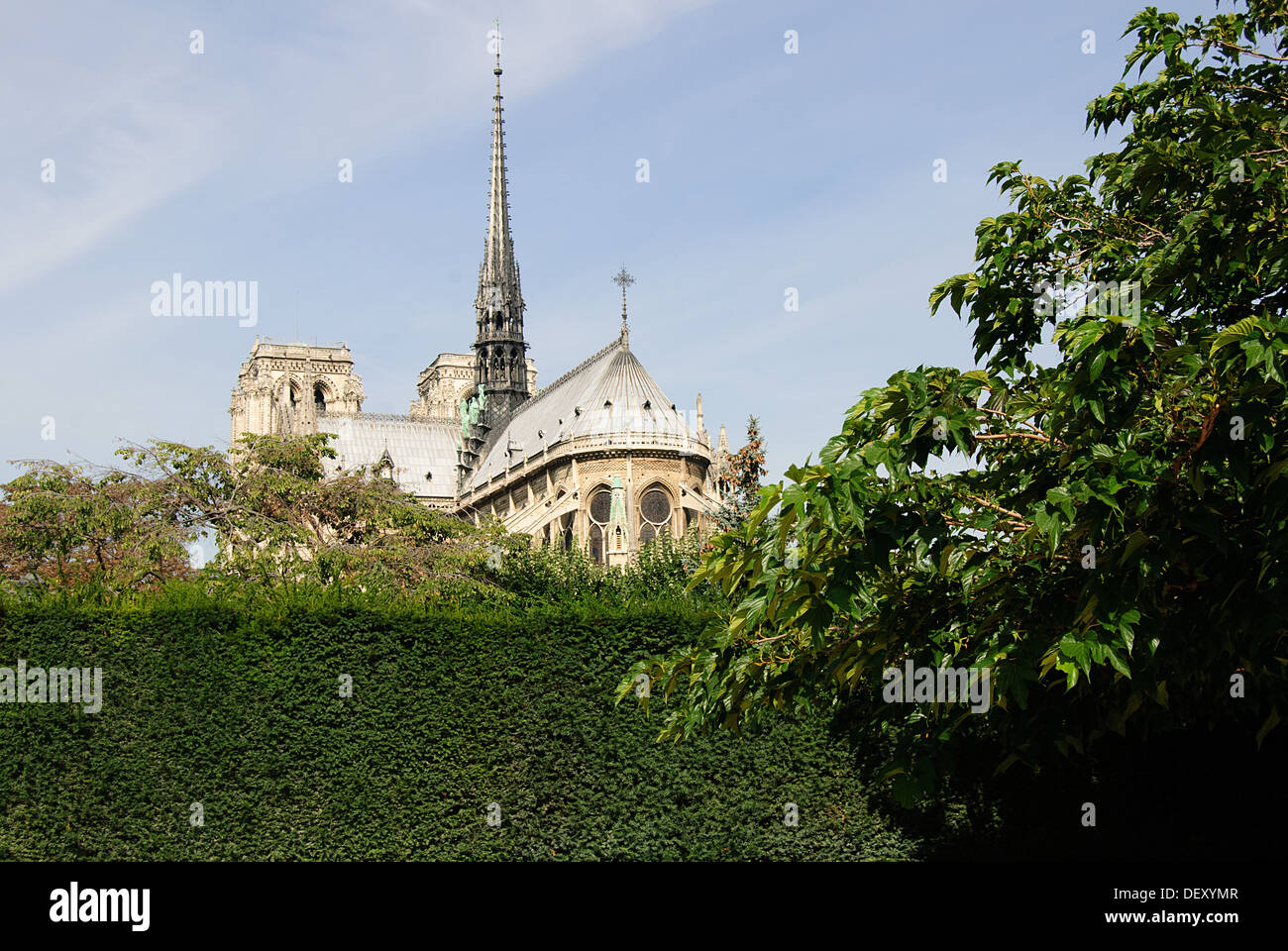 View of Notre Dame Cathedral in Paris from behind Stock Photo - Alamy