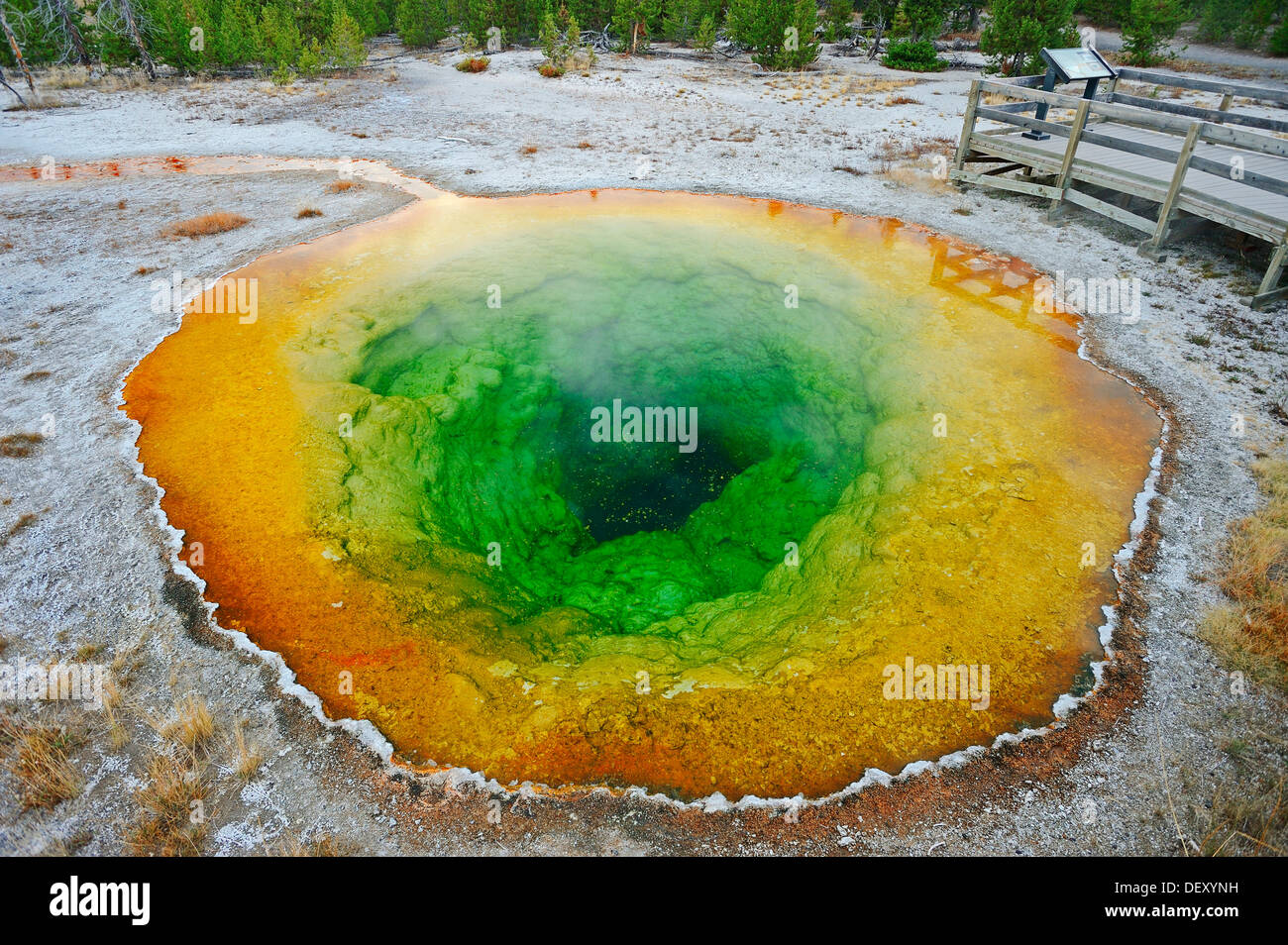 Morning Glory Pool, a hot spring in Upper Geyser Basin, Yellowstone ...