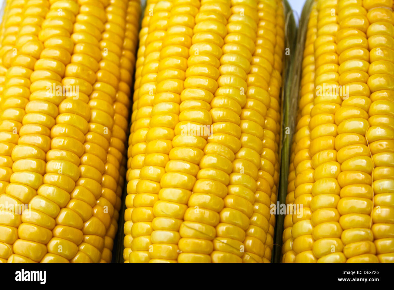 Bright color sweet corn Stock Photo - Alamy