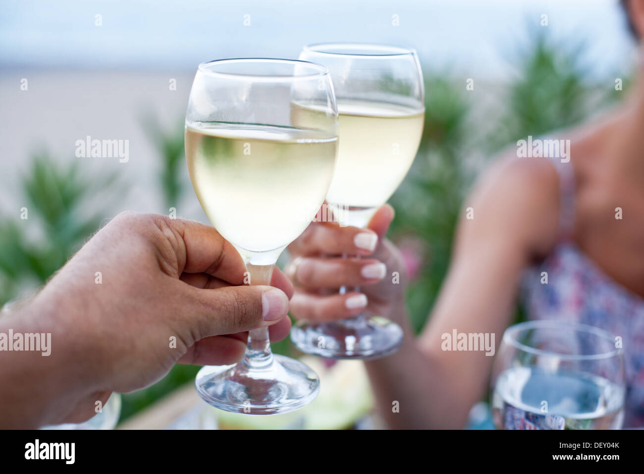 Banquet Toast High Resolution Stock Photography and Images - Alamy