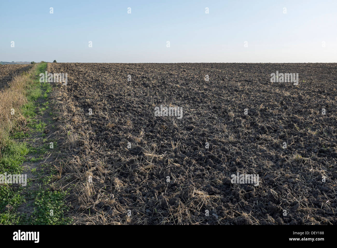 Field of earth hi-res stock photography and images - Alamy