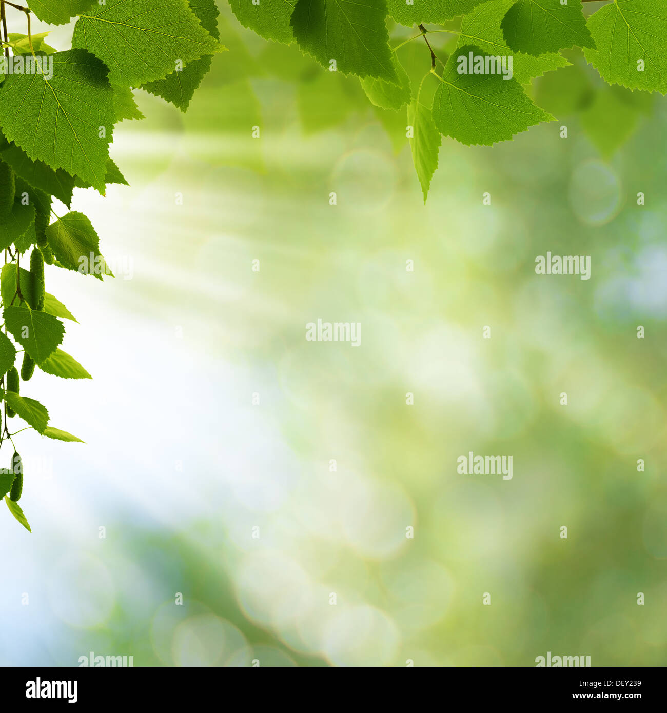 Natural freshness. Abstract environmental backgrounds for your design ...