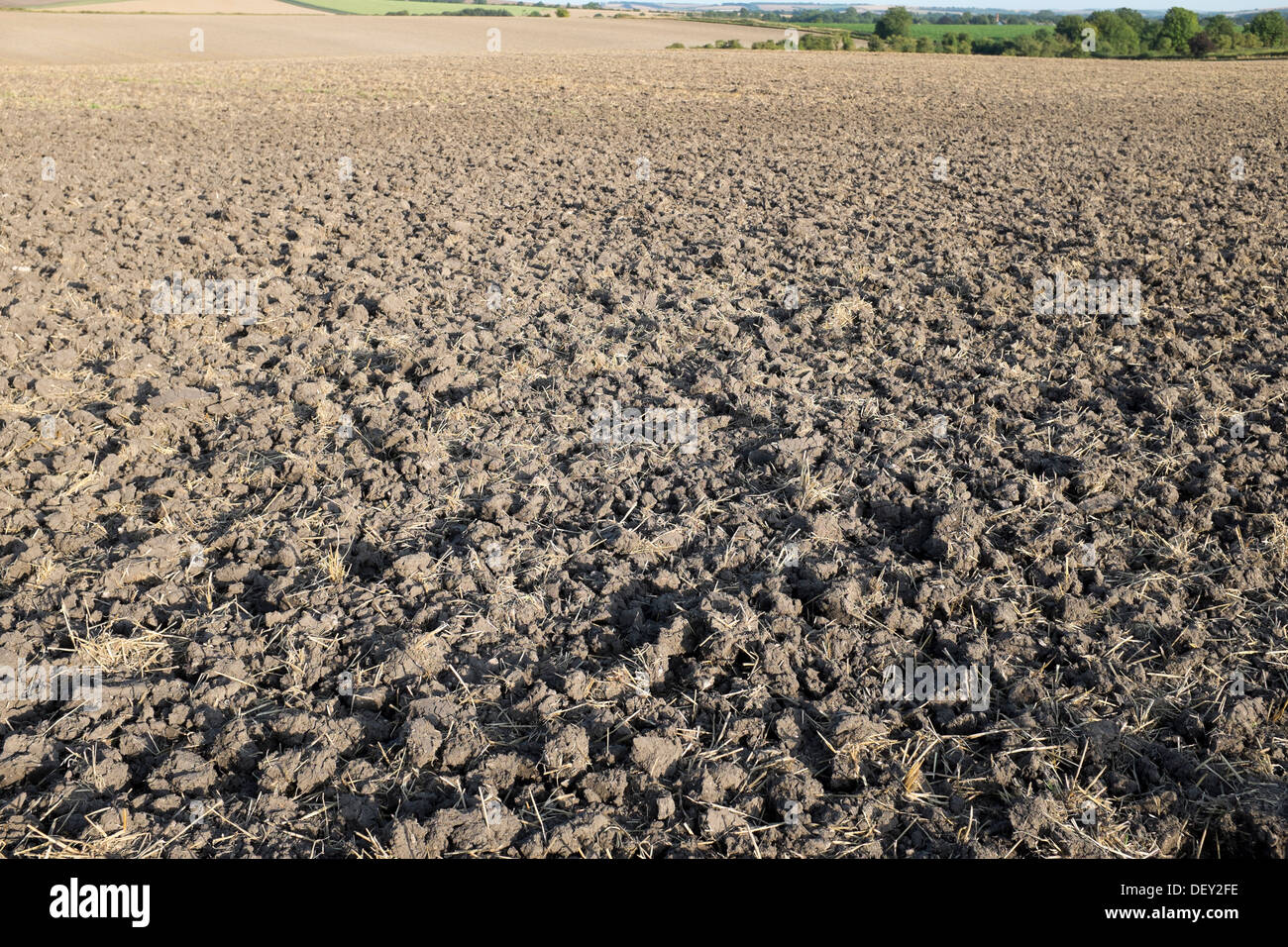 Field of earth hi-res stock photography and images - Alamy
