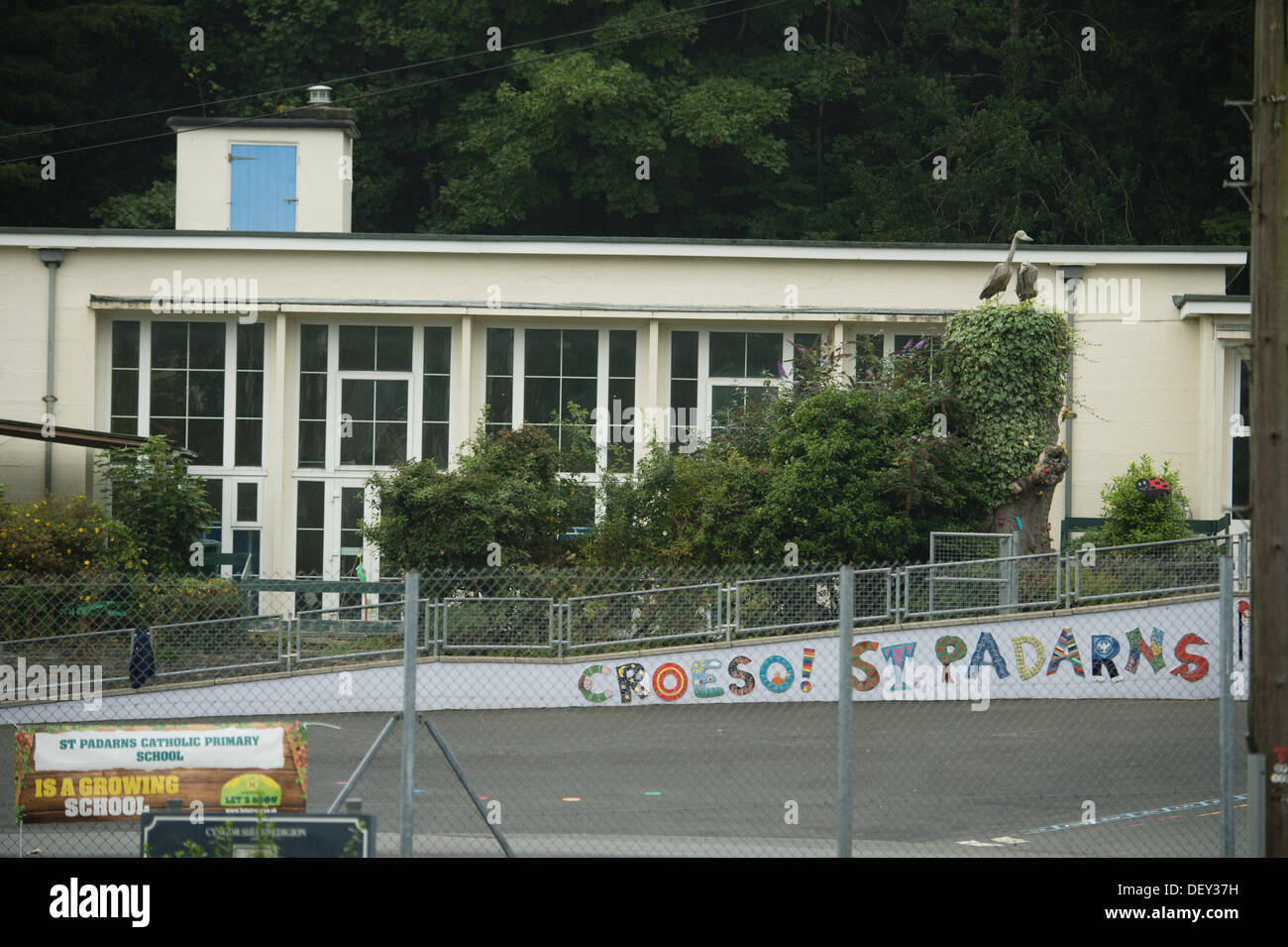 Meningitis uk hi-res stock photography and images - Alamy