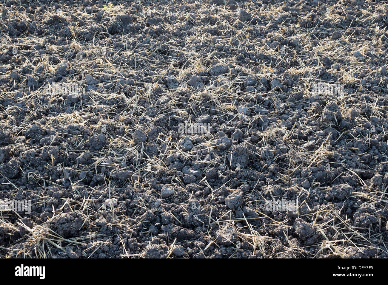Field of earth hi-res stock photography and images - Alamy