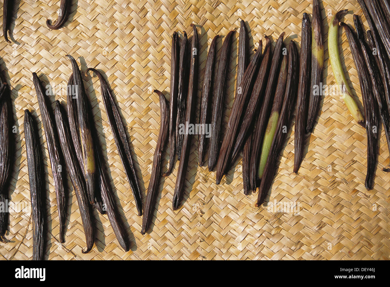 Papantla vanilla hi-res stock photography and images - Alamy