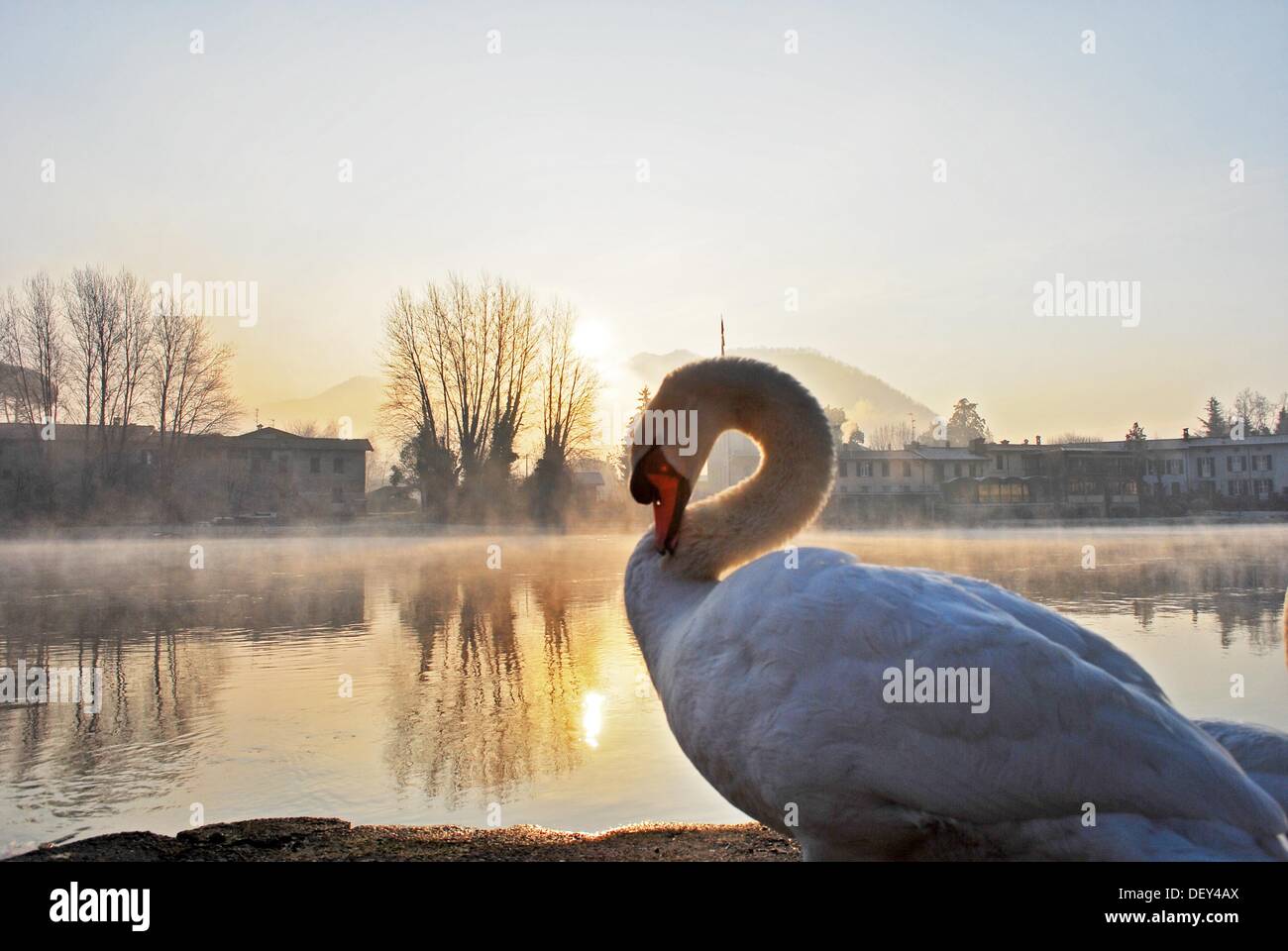 River swin hi-res stock photography and images - Alamy