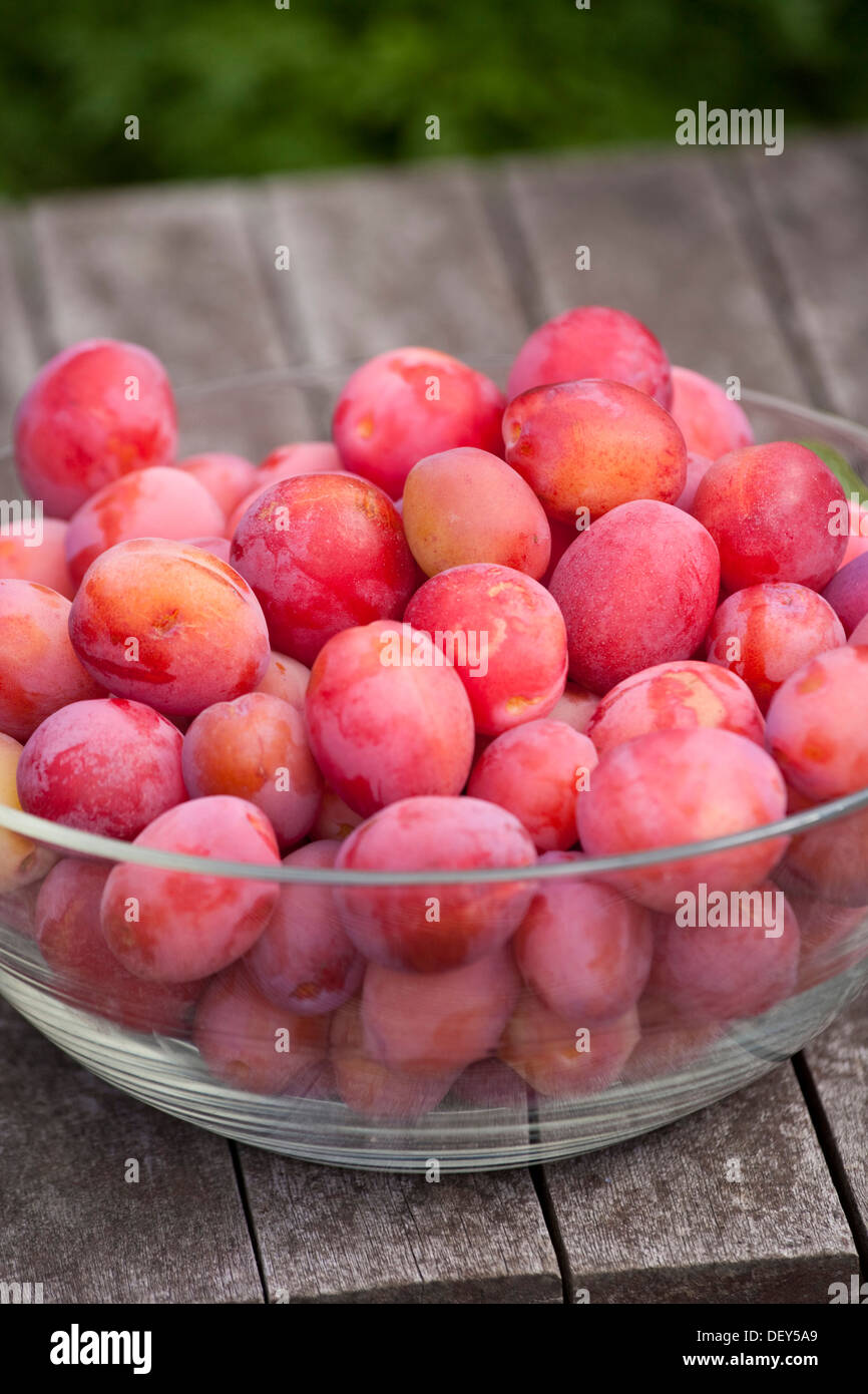 Victoria plums hi-res stock photography and images - Alamy
