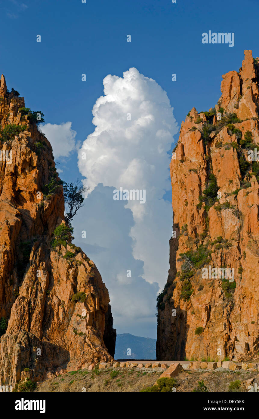 The typical bizarre red rocks of the Calanche of Piana below a blue sky ...