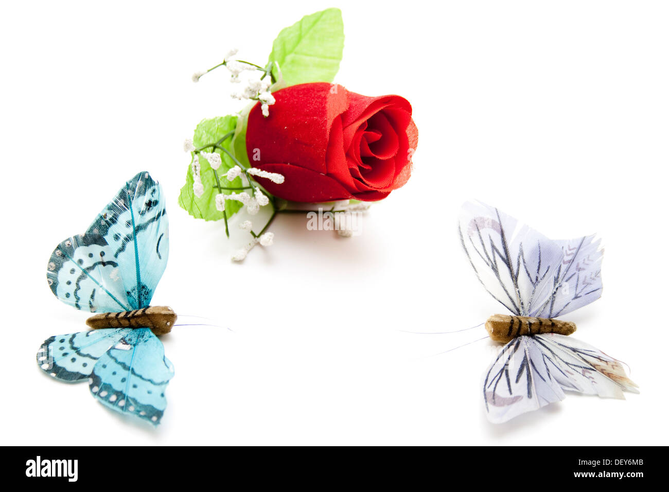 Butterflies with red rose Stock Photo - Alamy