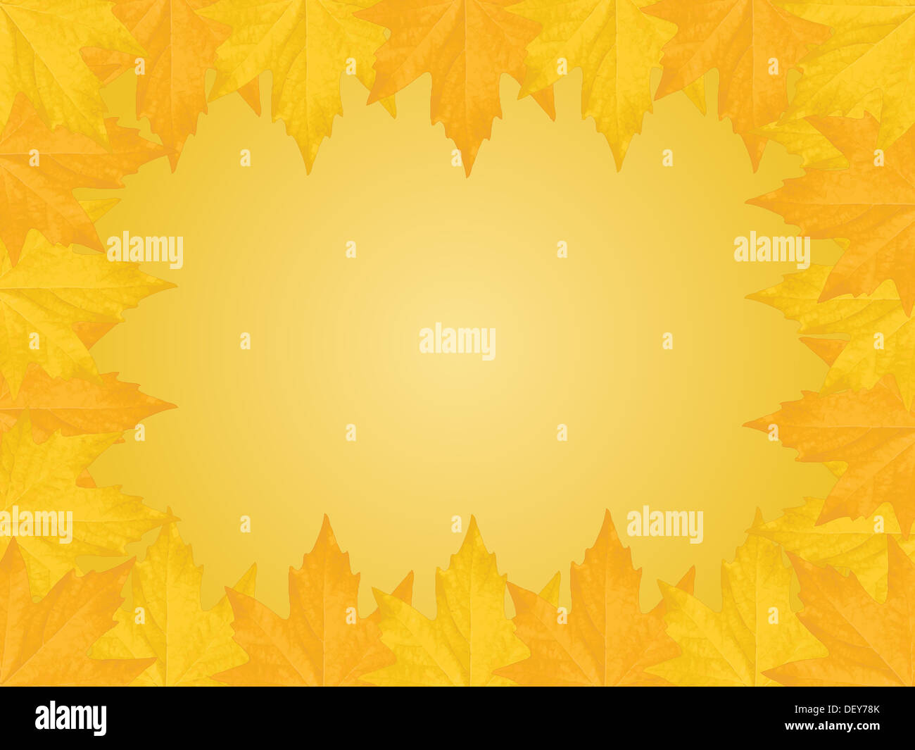 autumnal background with maple leaves border Stock Photo - Alamy